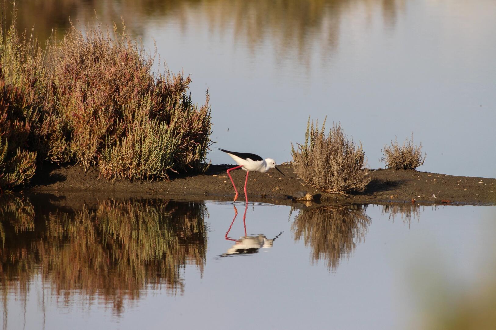 Turismo Fluvial | Visitas ao Barco Varino Liberdade | CM Vila Franca de ...